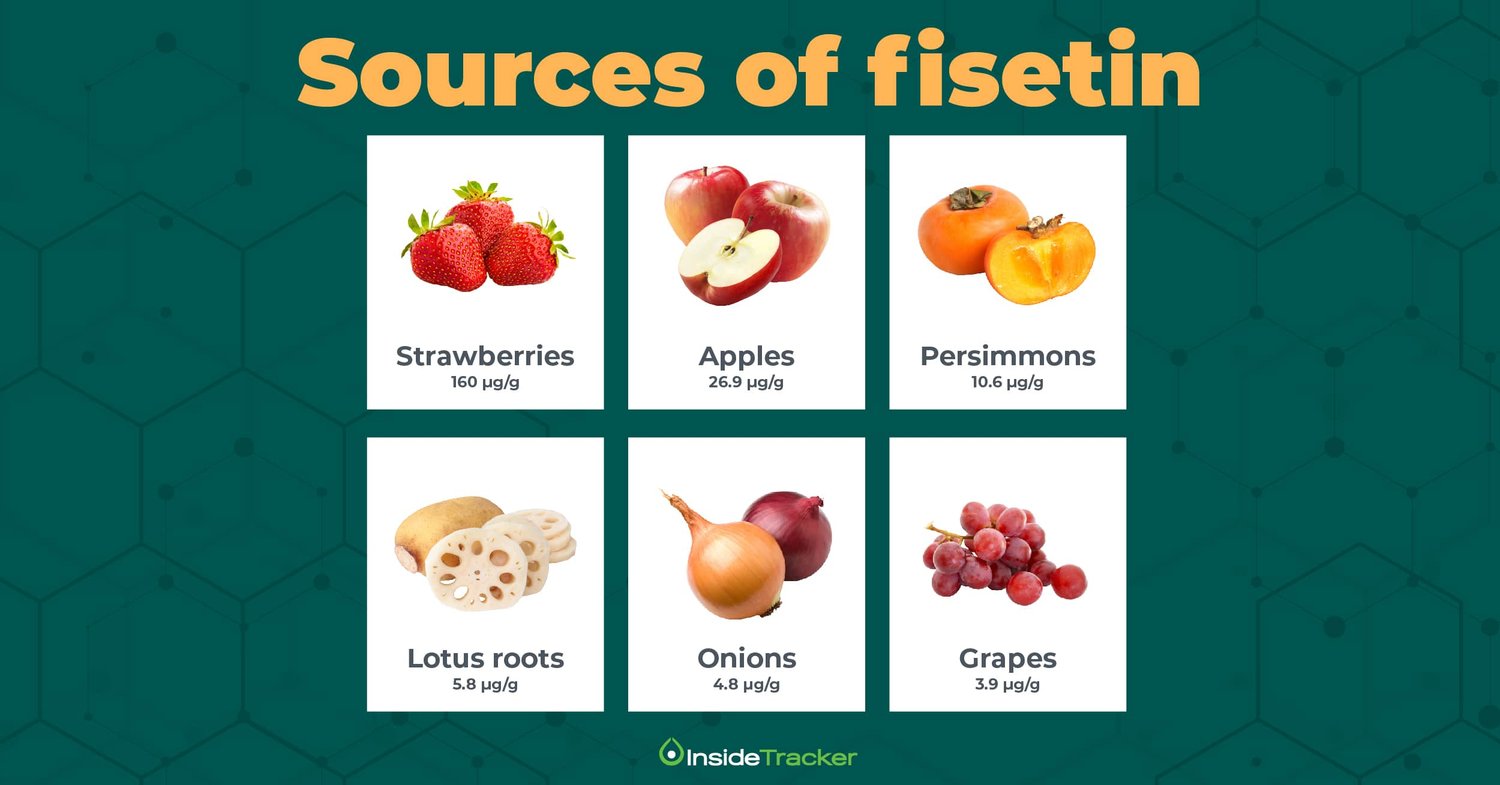 Fisetin: A Powerful Senolytic that Slows Aging