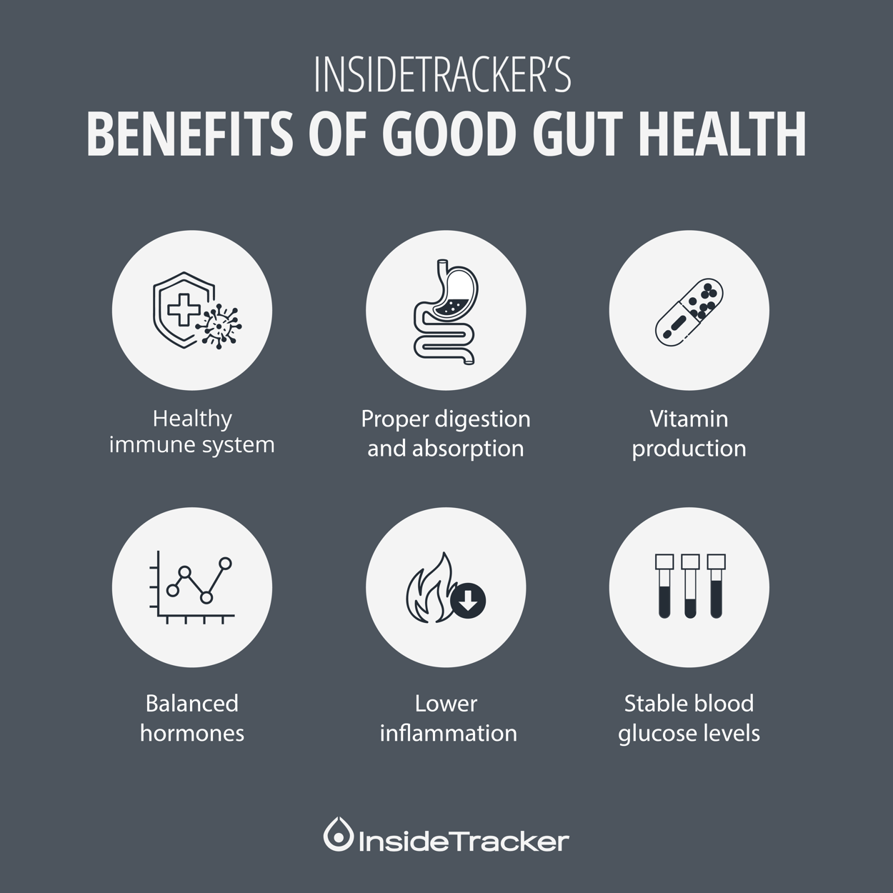 A Comprehensive Review of the Habits that Affect Gut Health