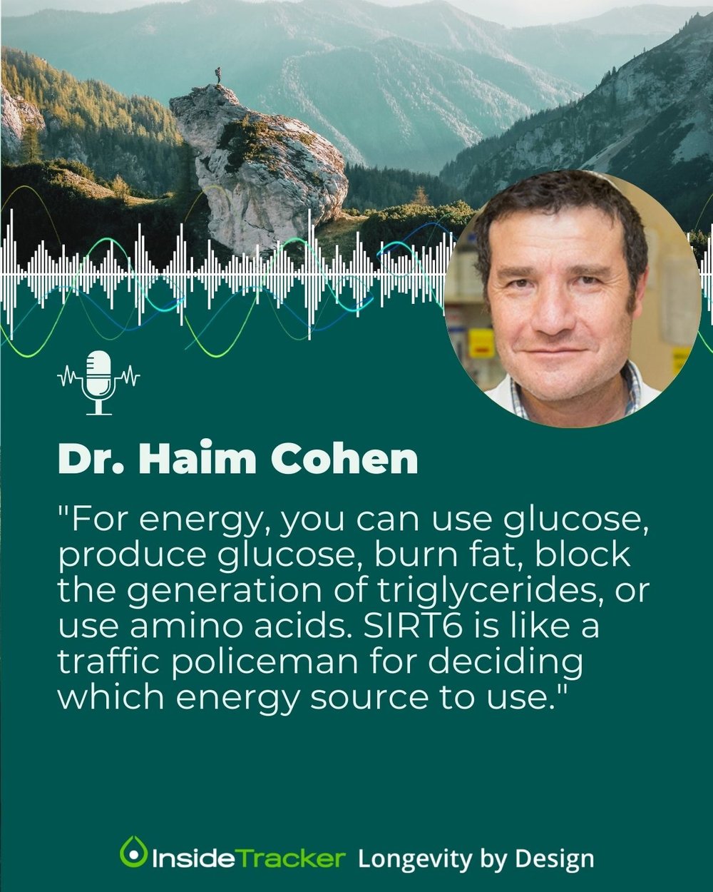 Dr. Haim Cohen—The Protective Role of SIRT6 on Aging and Longevity