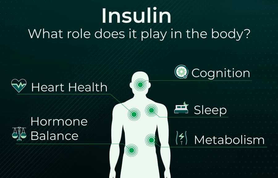 Why Insulin Is A Key to Metabolism and Healthspan