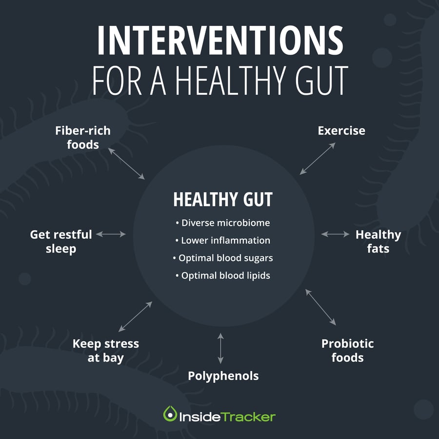 Optimize Your Microbiome with the New InsideTracker Gut Health Goal