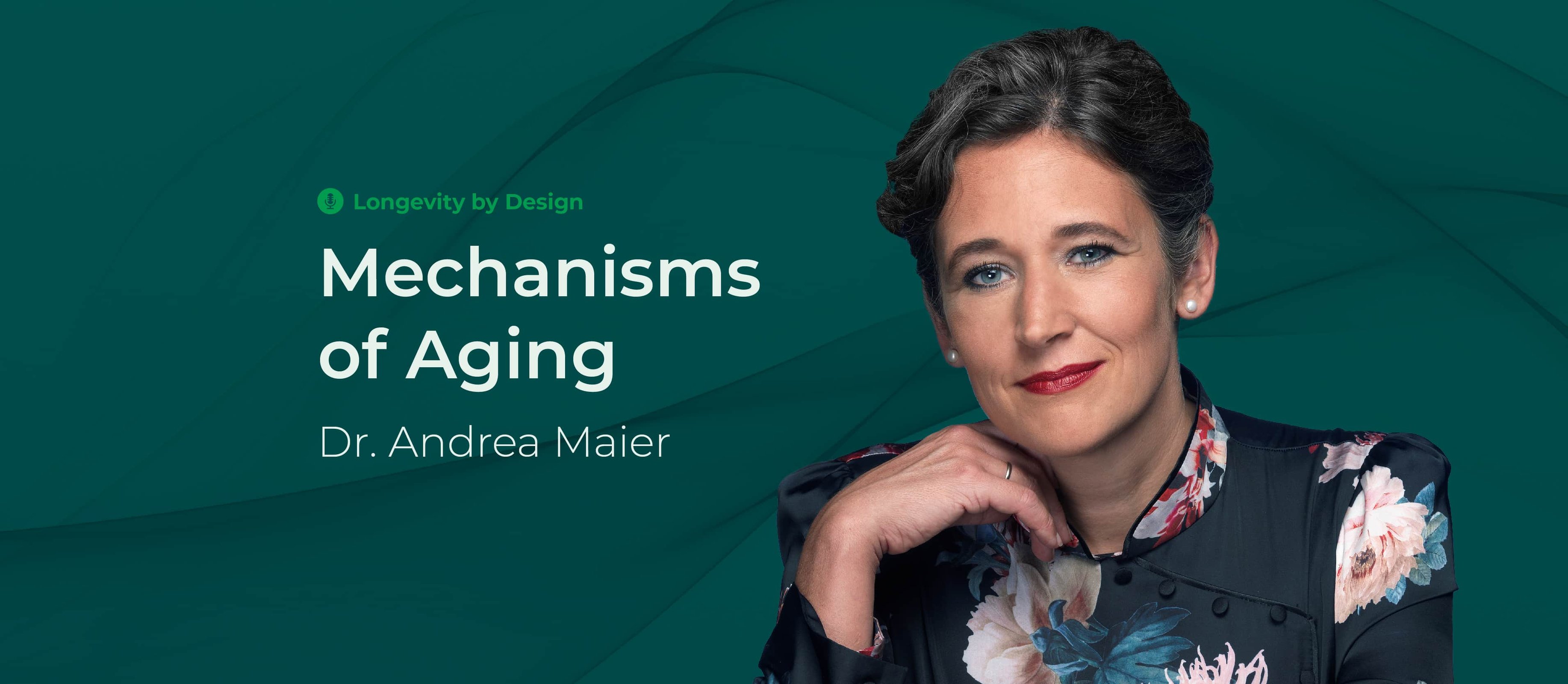Dr. Andrea Maier—Mechanisms of Aging
