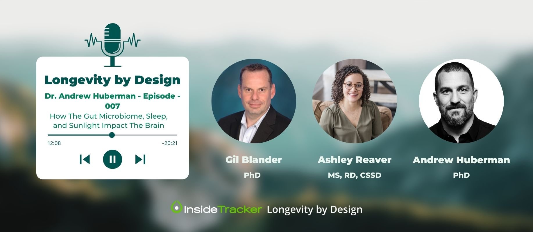 Dr. Andrew Huberman—How The Gut Microbiome, Sleep, and Sunlight Impact ...