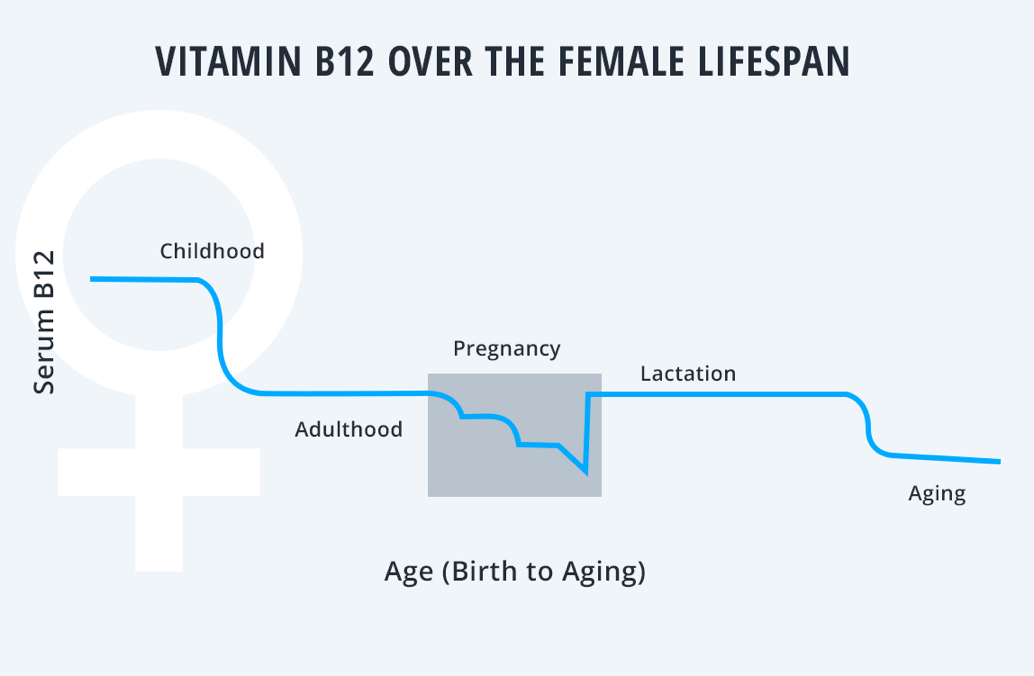 Vitamin B12: How to Reach an Optimized Level for Women